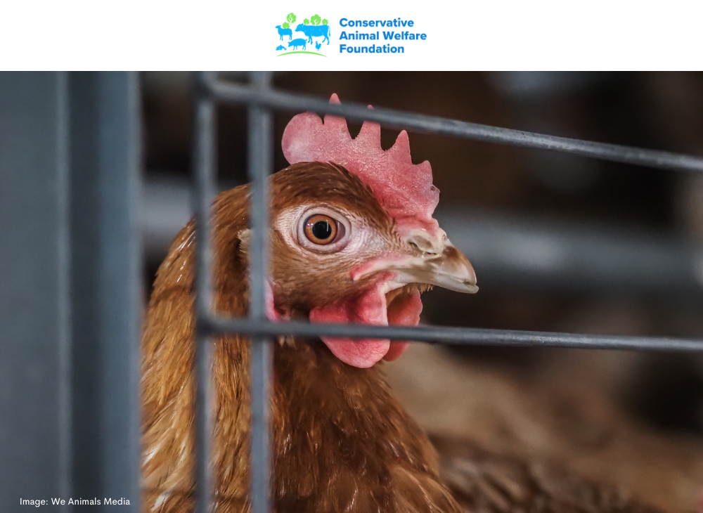 Conservative Animal Welfare Foundation deeply concerned over ...